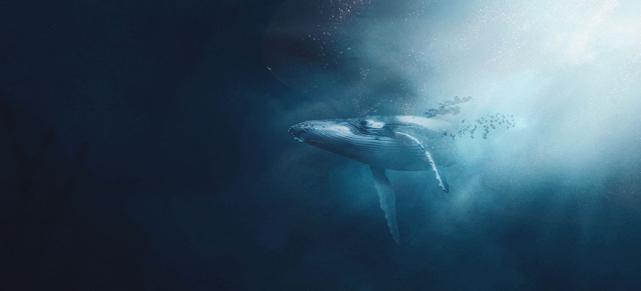 Science - Planetary Technologies