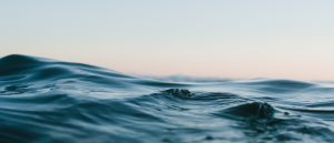 Home - Planetary Technologies