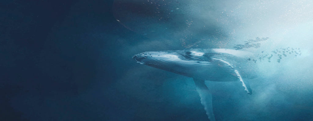 Science - Planetary Technologies